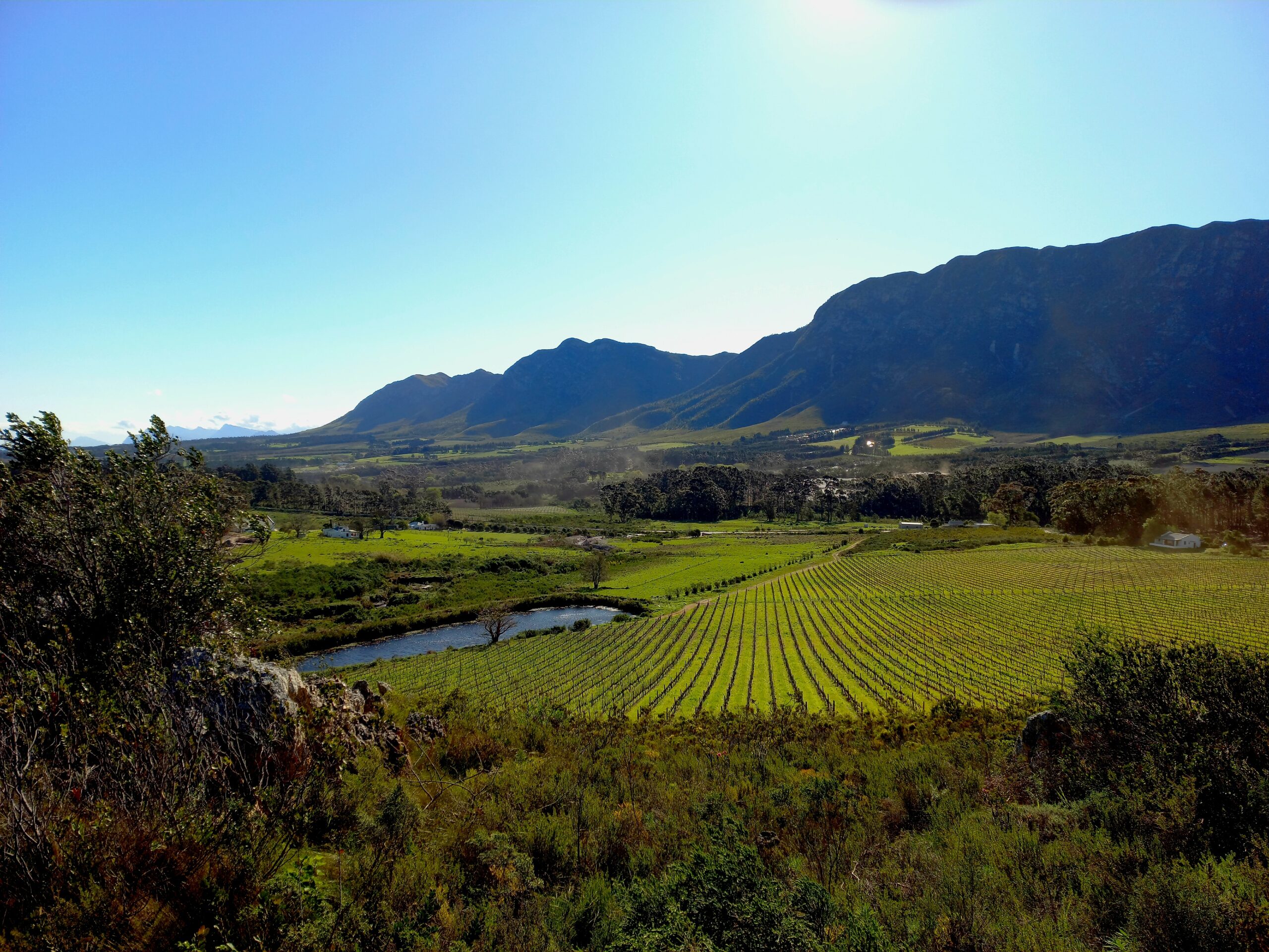 Hermanus Tour | iGoAfrika Tours