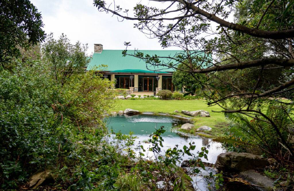 Hermanus Tour | iGoAfrika Tours