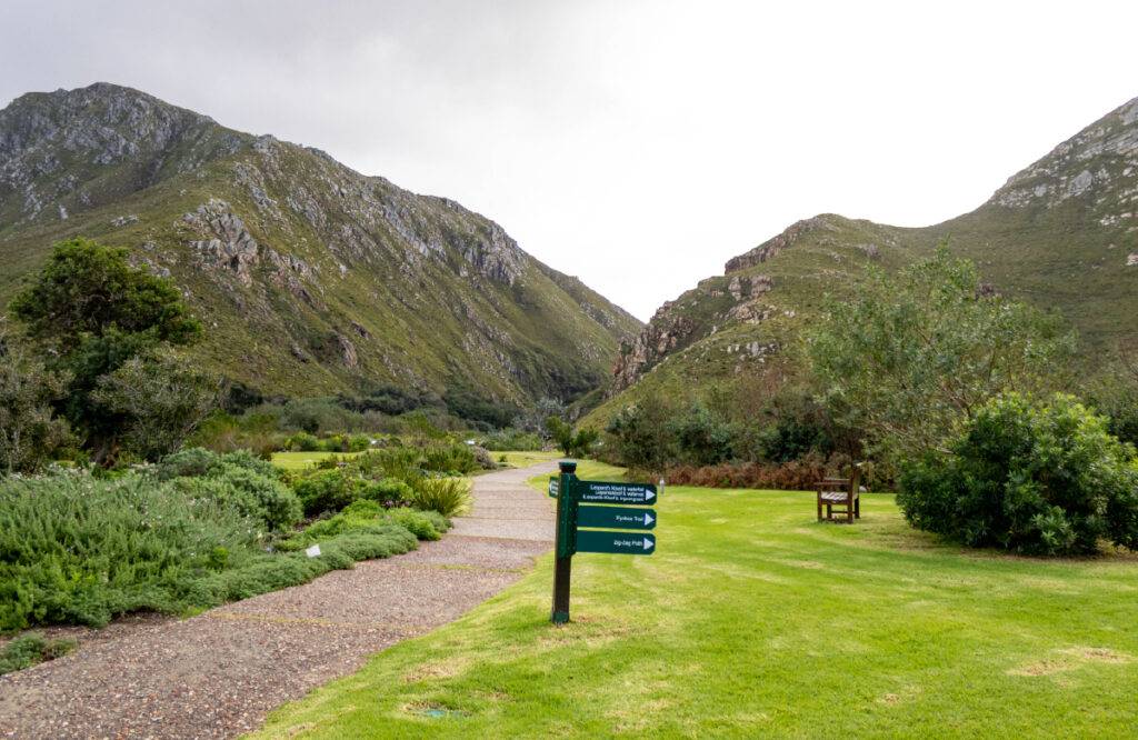 Hermanus Tour | iGoAfrika Tours