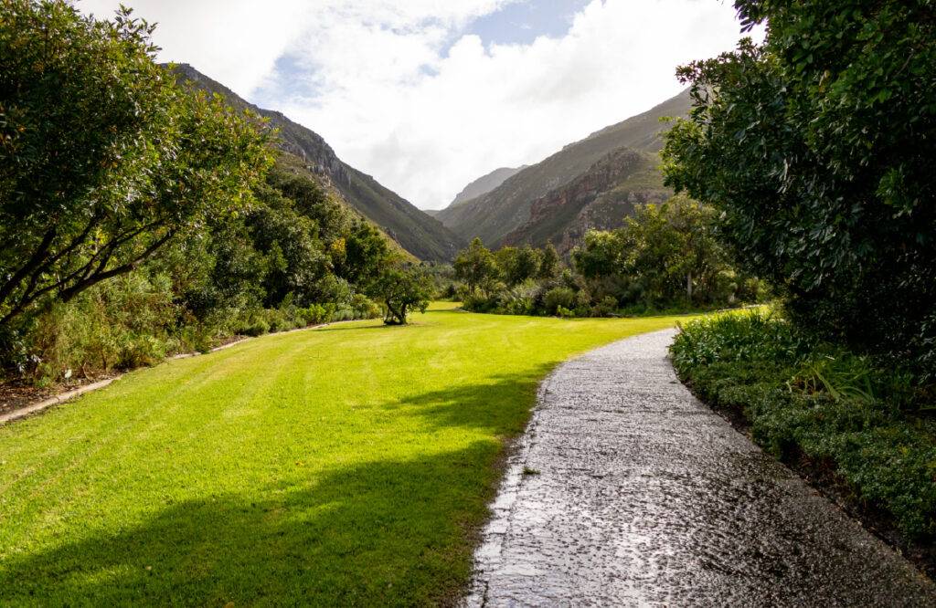 Hermanus Tour | iGoAfrika Tours