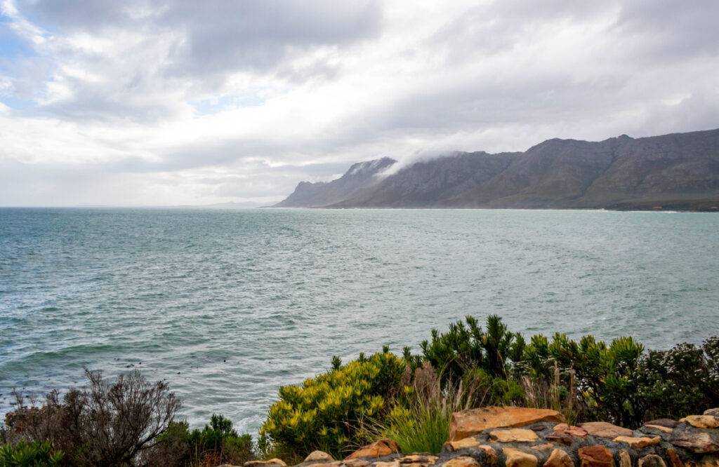 Hermanus Tour | iGoAfrika Tours