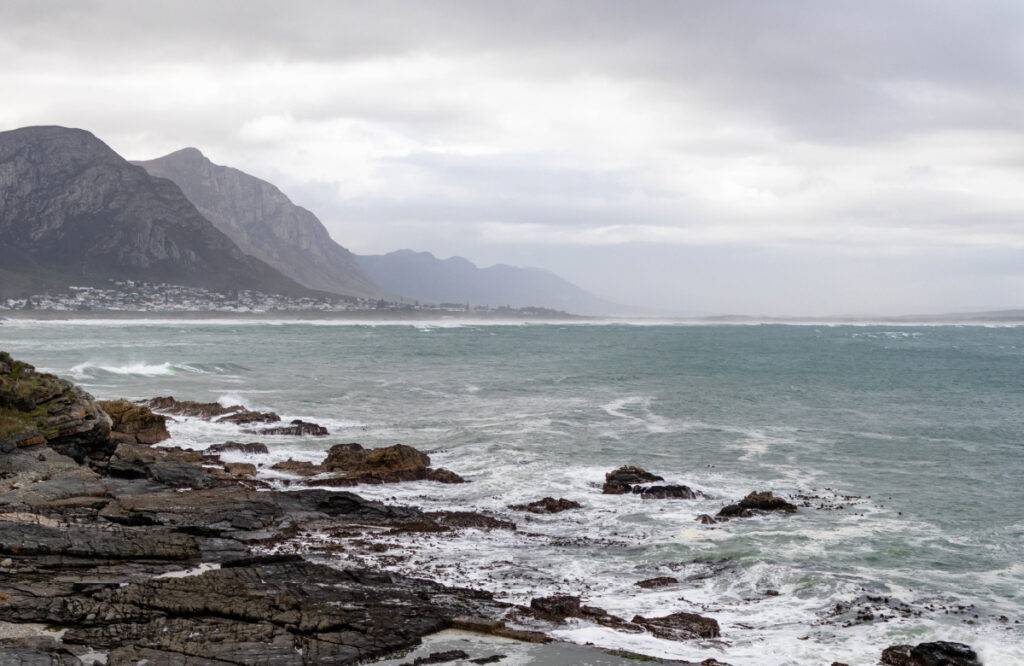 Hermanus Tour | iGoAfrika Tours